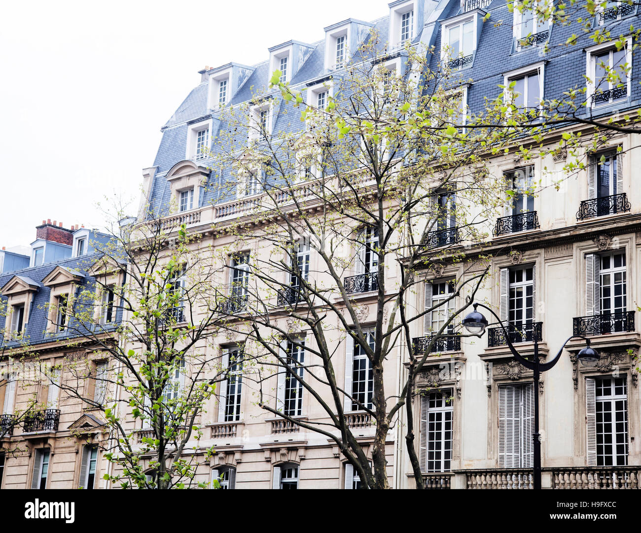 houses on french streets of Paris. citylife concept Stock Photo - Alamy
