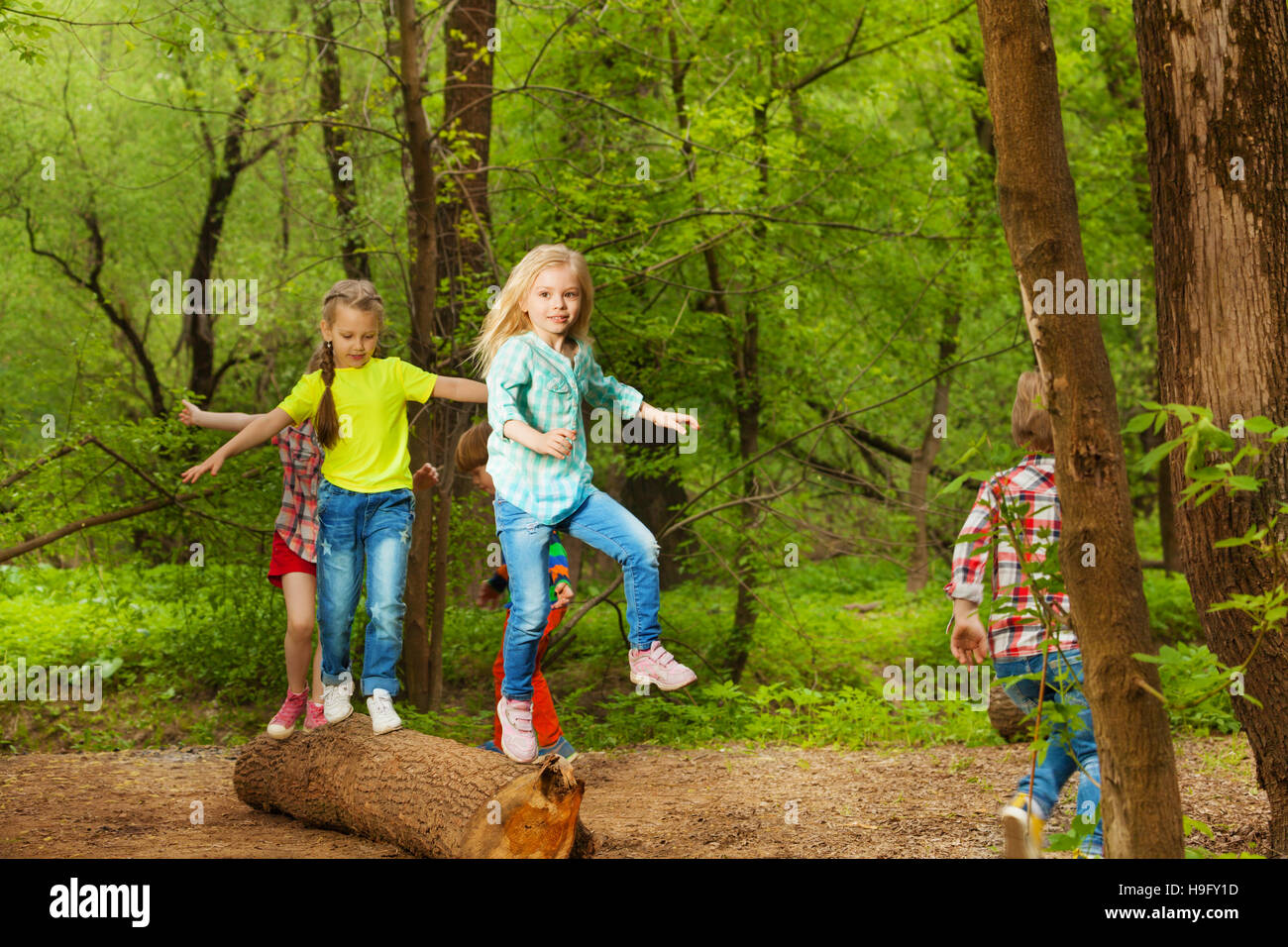 Log in forest hi-res stock photography and images - Alamy