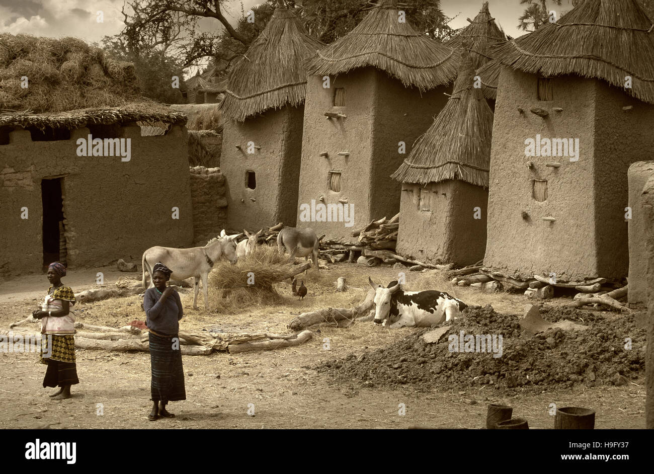 Ansongo, Mali, Africa - January 28, 1992: Dogon village and typical mud ...