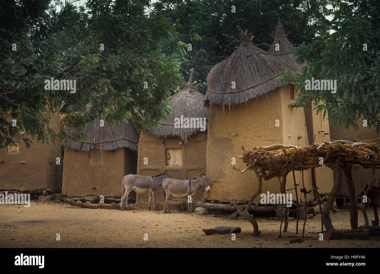 Ansongo, Mali, Africa - January 28, 1992: Dogon village and typical mud ...