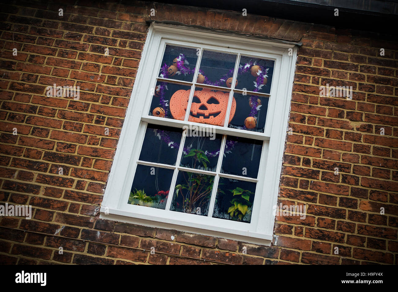 Halloween Pumpkin Display in House Window Stock Photo - Alamy