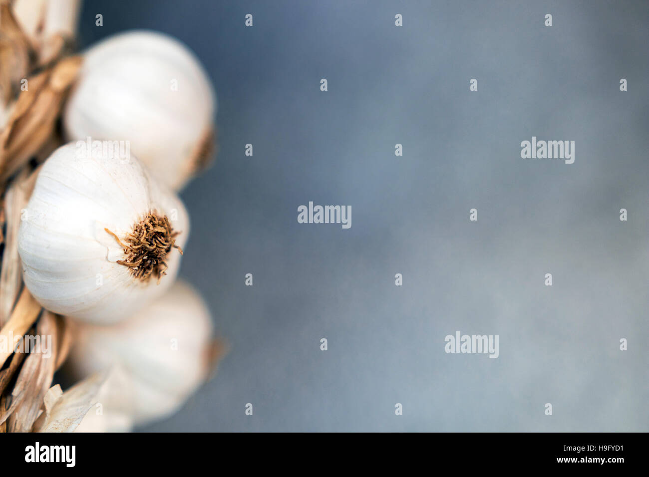 Garlic. String of garlic Close-up Stock Photo - Alamy