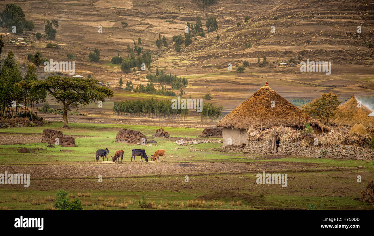 Ethiopia landscape hi-res stock photography and images - Alamy
