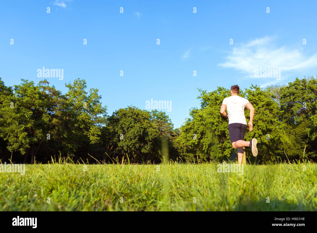 A handsome young man running on a summer evening in a park Stock Photo ...