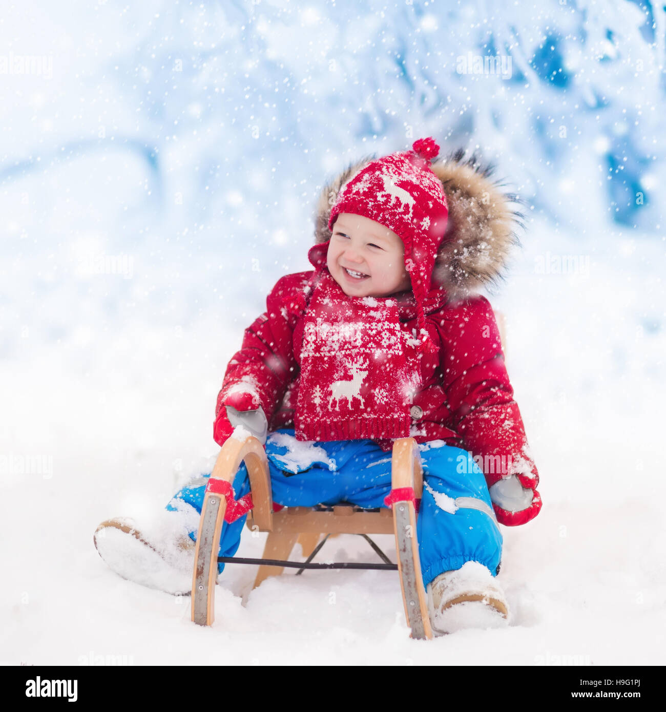 Little girl enjoying a sleigh ride. Child sledding. Toddler kid riding a sledge. Children play ...