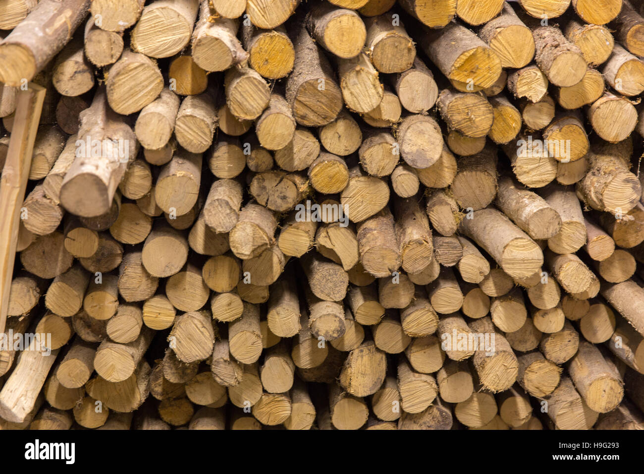 Logs piled up at a wood store Stock Photo - Alamy