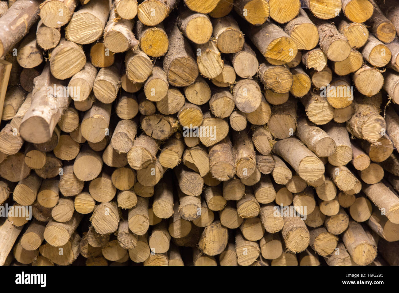 Logs piled up at a wood store Stock Photo - Alamy