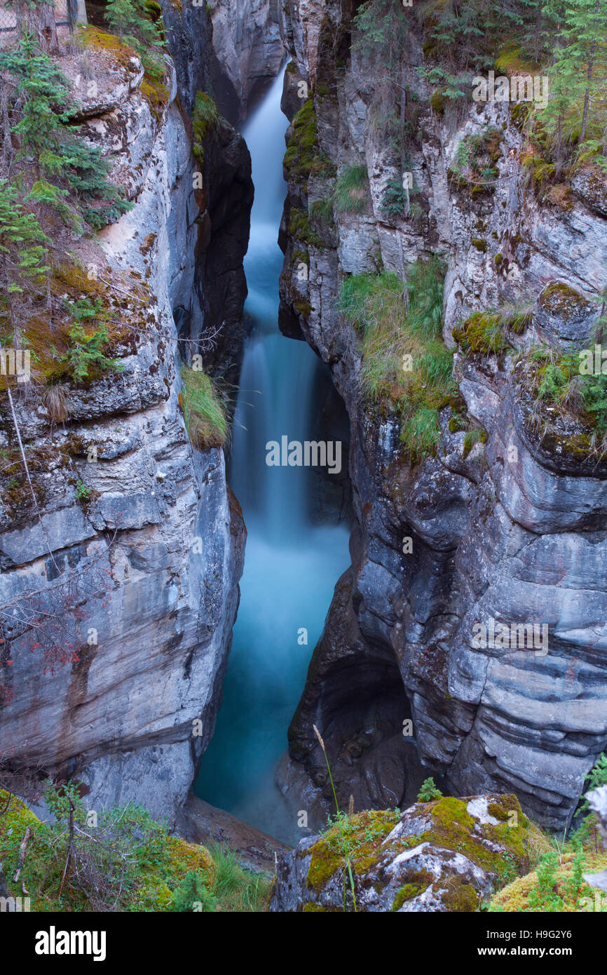 Water fall river in Jasper national Park Canada Stock Photo - Alamy