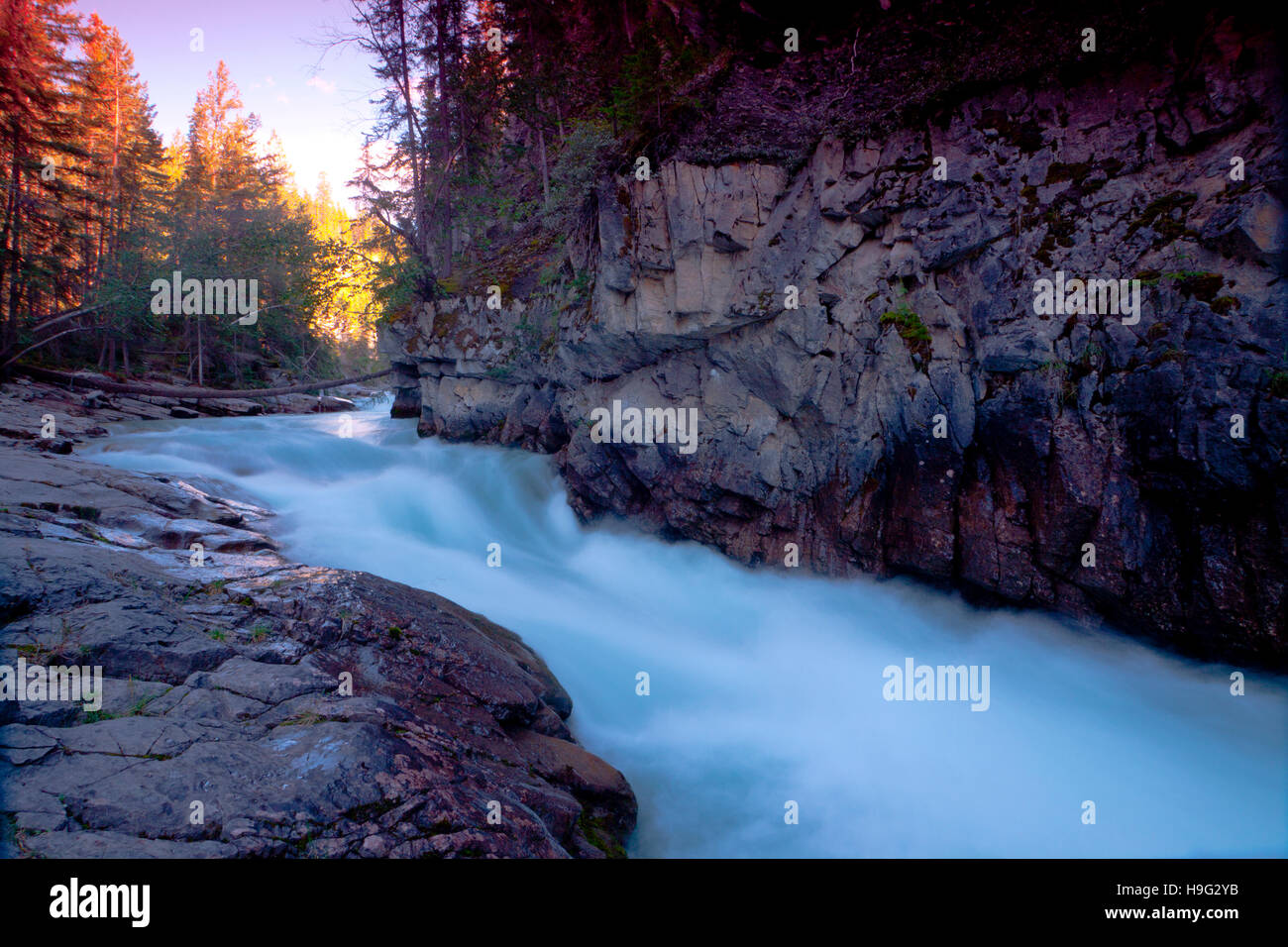 Water fall river in Jasper national Park Canada Stock Photo - Alamy