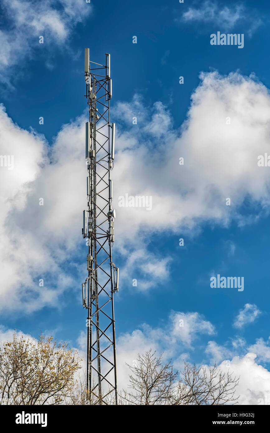 A telecommunication mast towers above the trees against a blue sky with ...