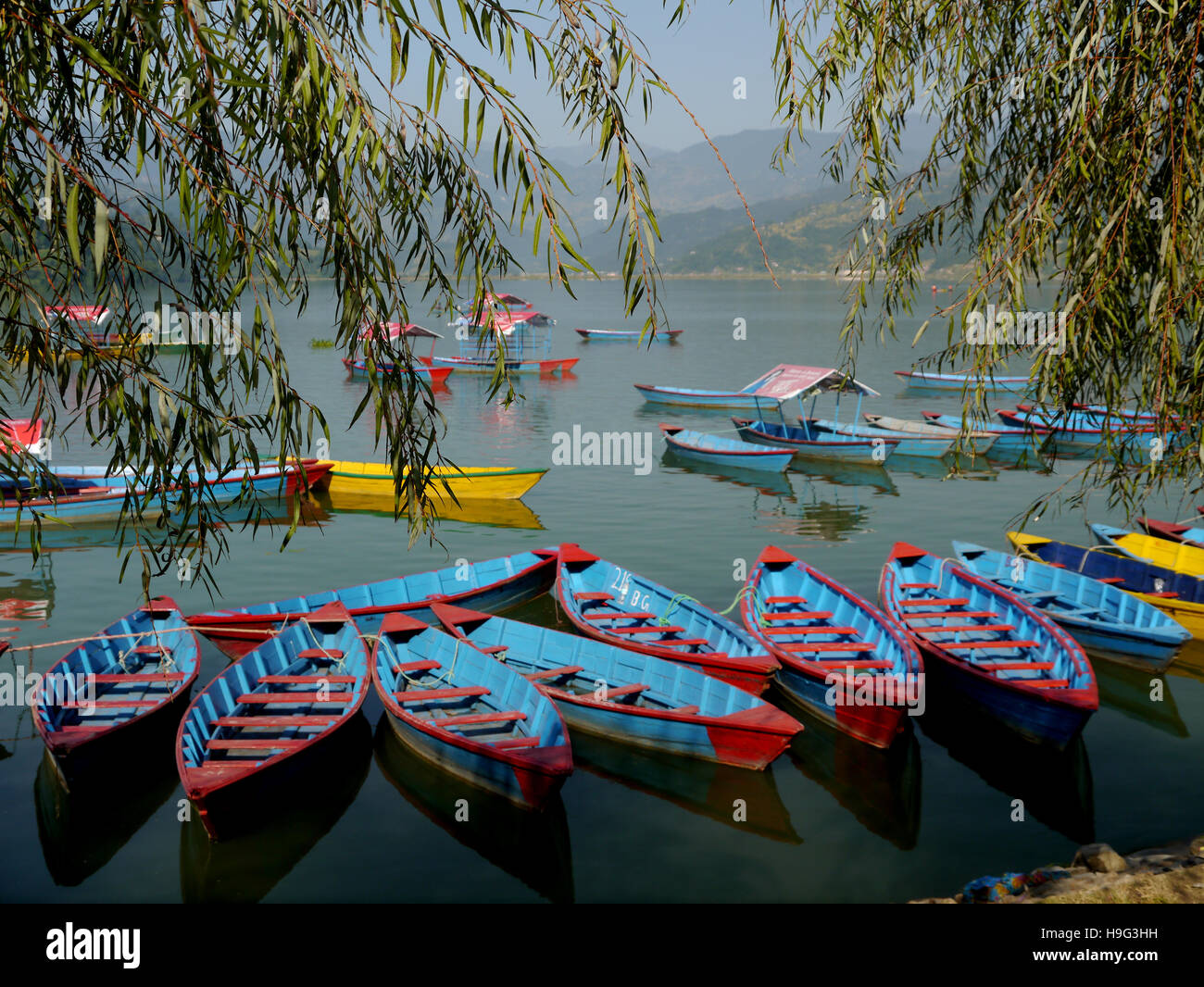 Phewa tal hi-res stock photography and images - Alamy