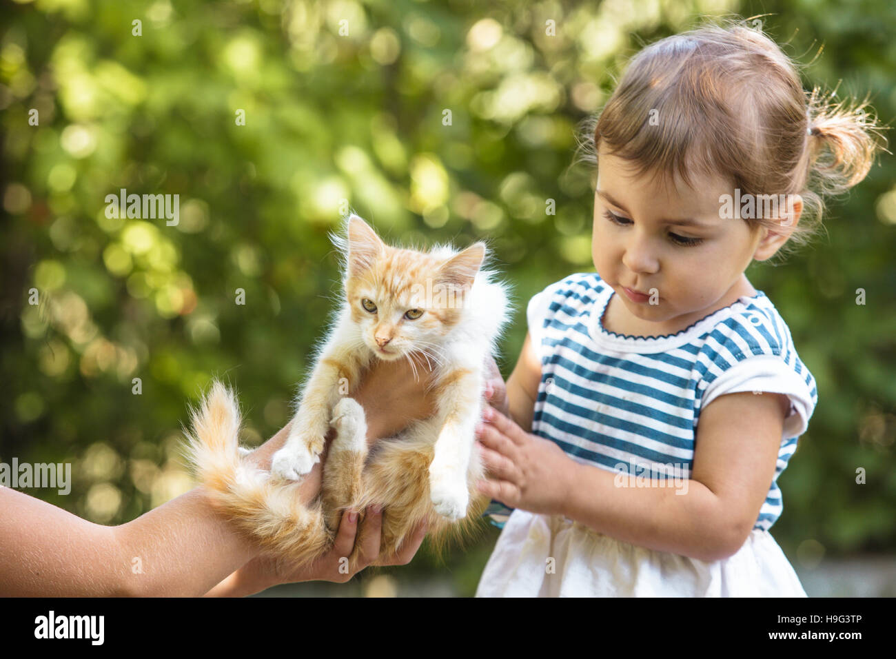 Girl play with kitten Stock Photo - Alamy