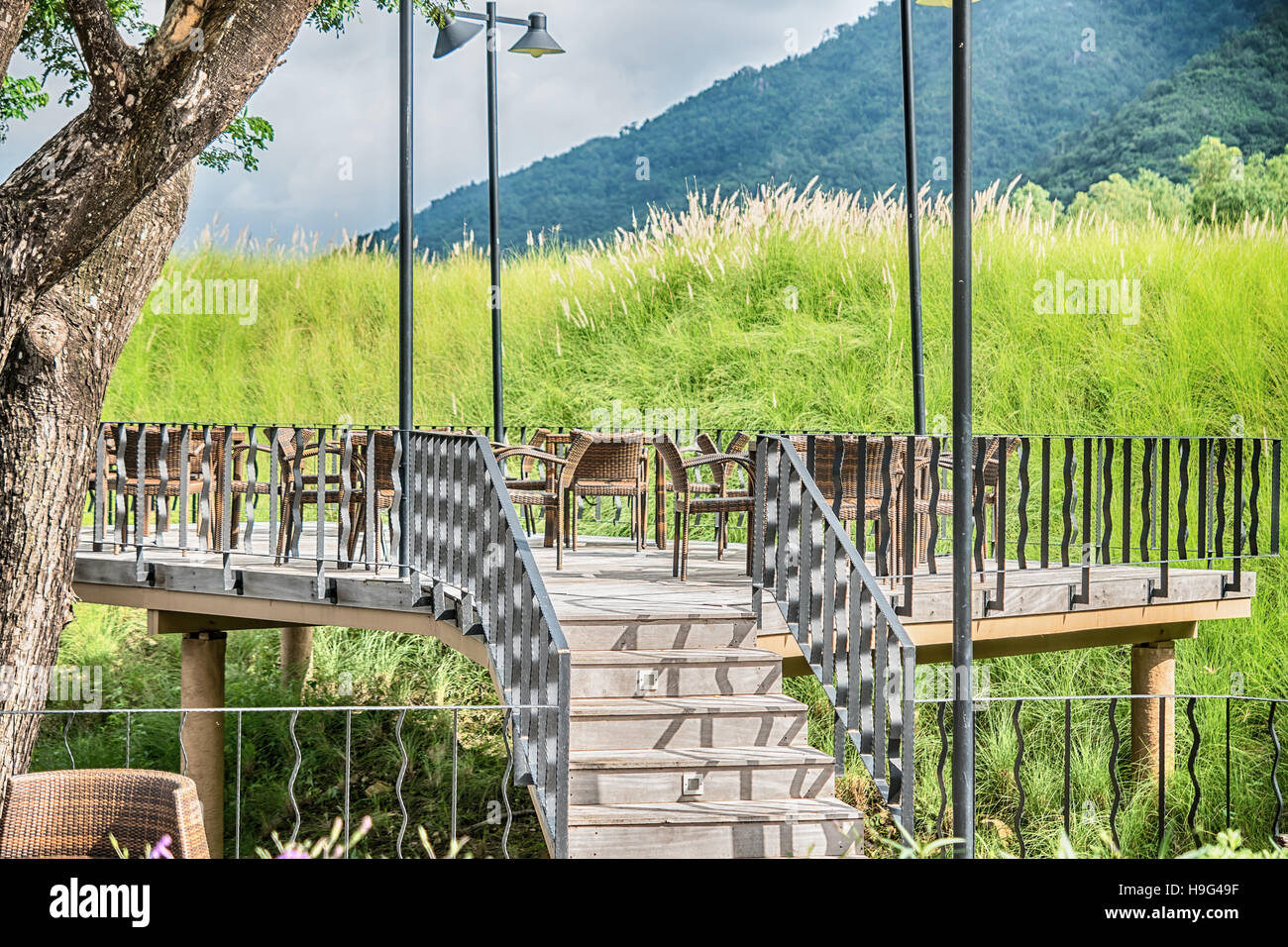The wood table on natural outdoor of a restaurant with tree and cloudy ...