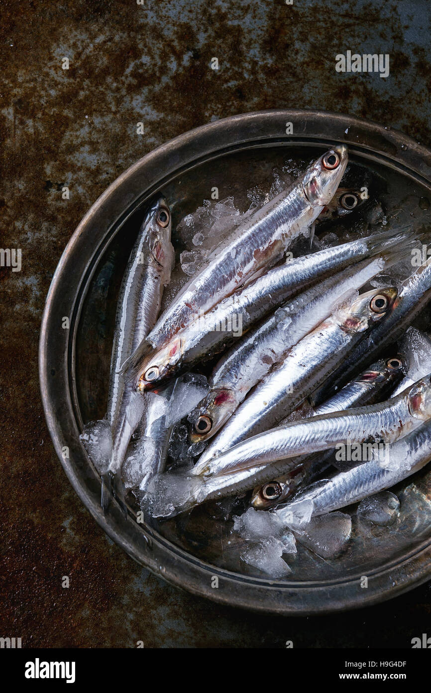Raw fresh anchovies fishes Stock Photo - Alamy