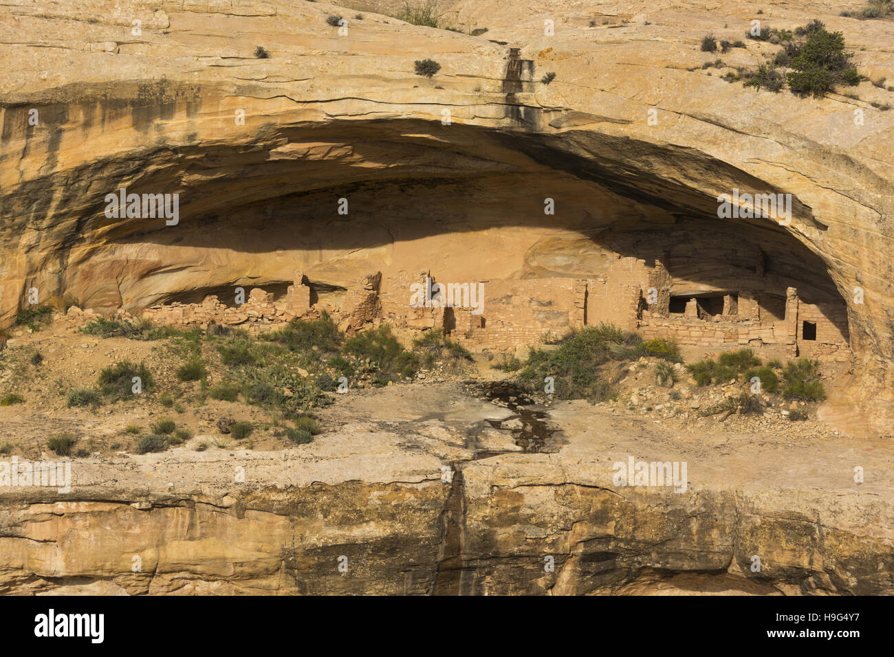 Ancestral puebloan ruins cliff dwelling hi-res stock photography and ...