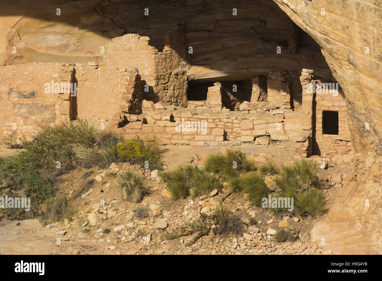 Utah, Blanding area, Butler Wash, Ancestral Puebloan ruins Stock Photo ...