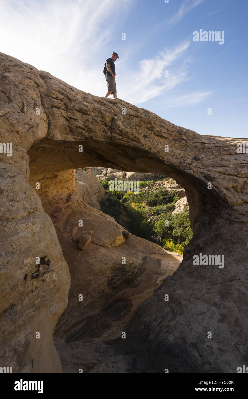 Utah, Blanding area, Butler Wash, Ancestral Puebloan ruins Stock Photo ...