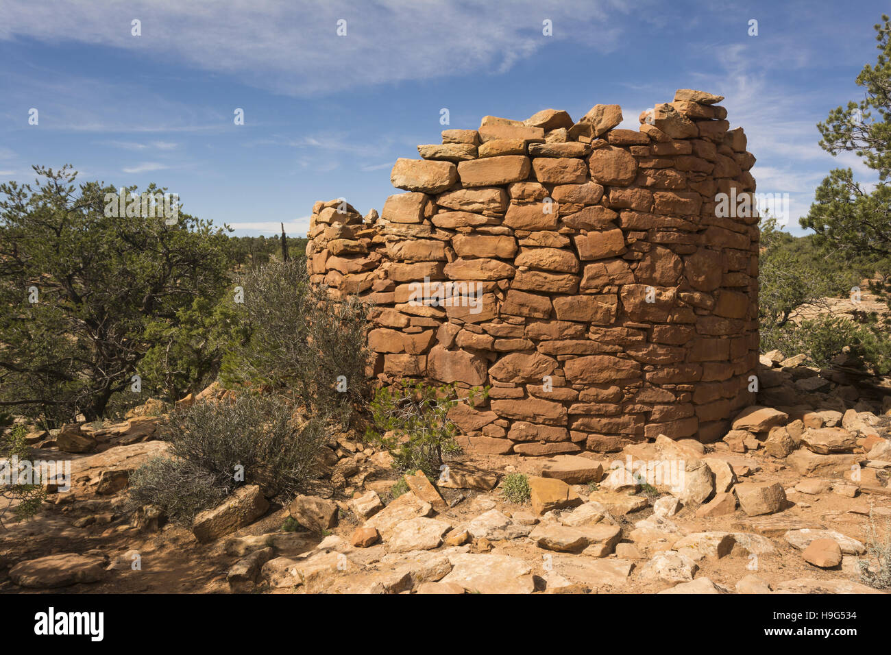 Utah, Blanding, Mule Canyon, Cave Tower, Ancestral Puebloan ruins Stock ...