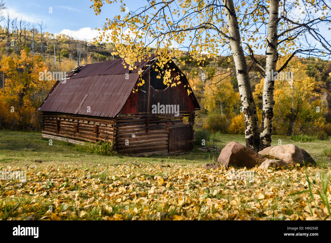 Abandoned wooden barn in the old town of Crested Butte, Colorado, USA ...