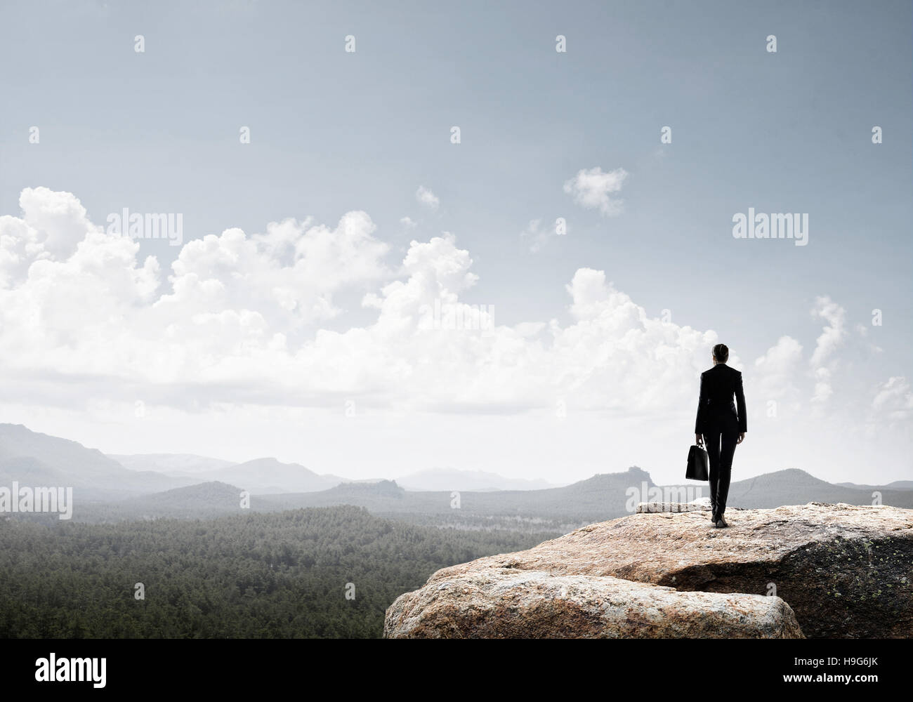 Achieving top of success Stock Photo - Alamy
