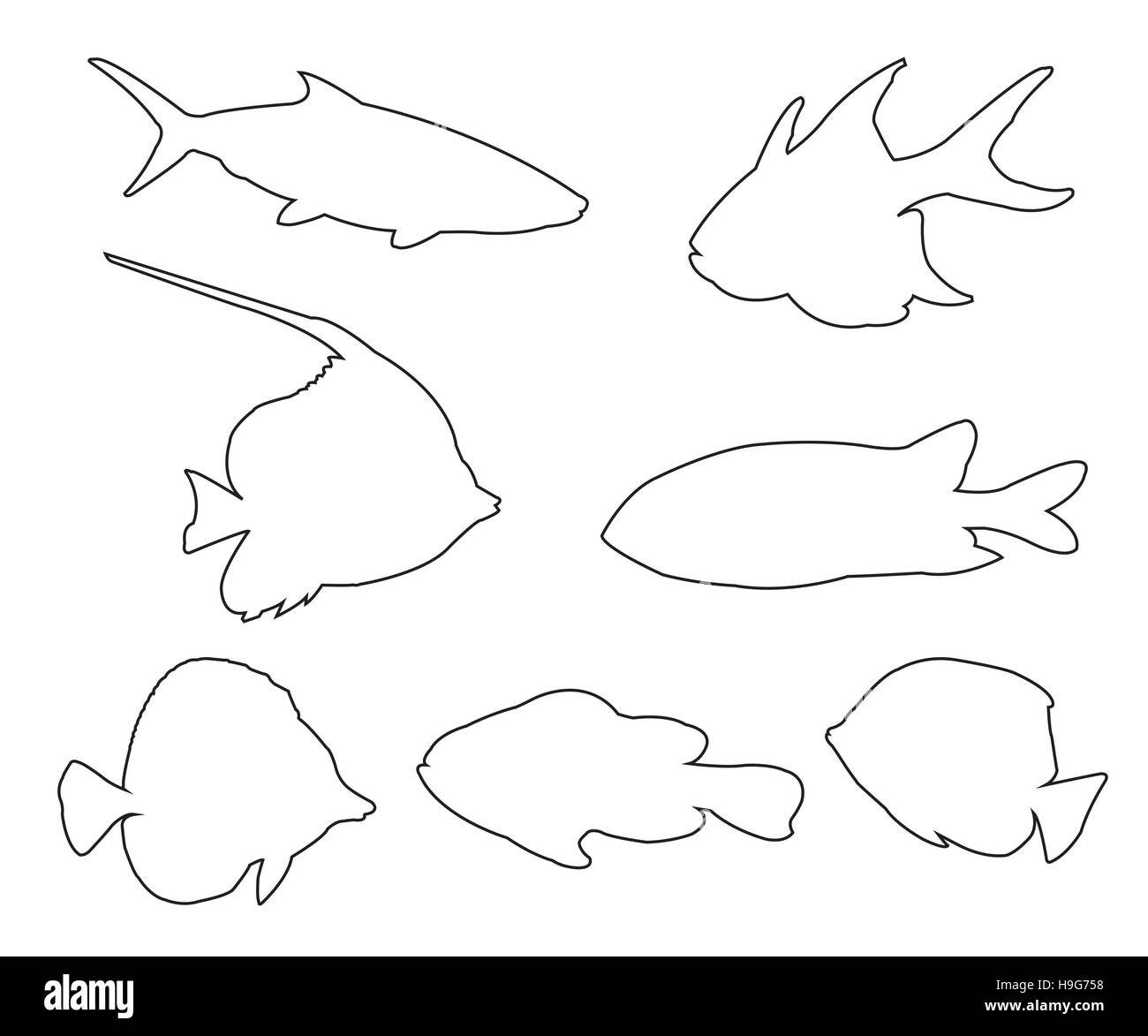 Set salmon fish isolated Black and White Stock Photos & Images - Alamy