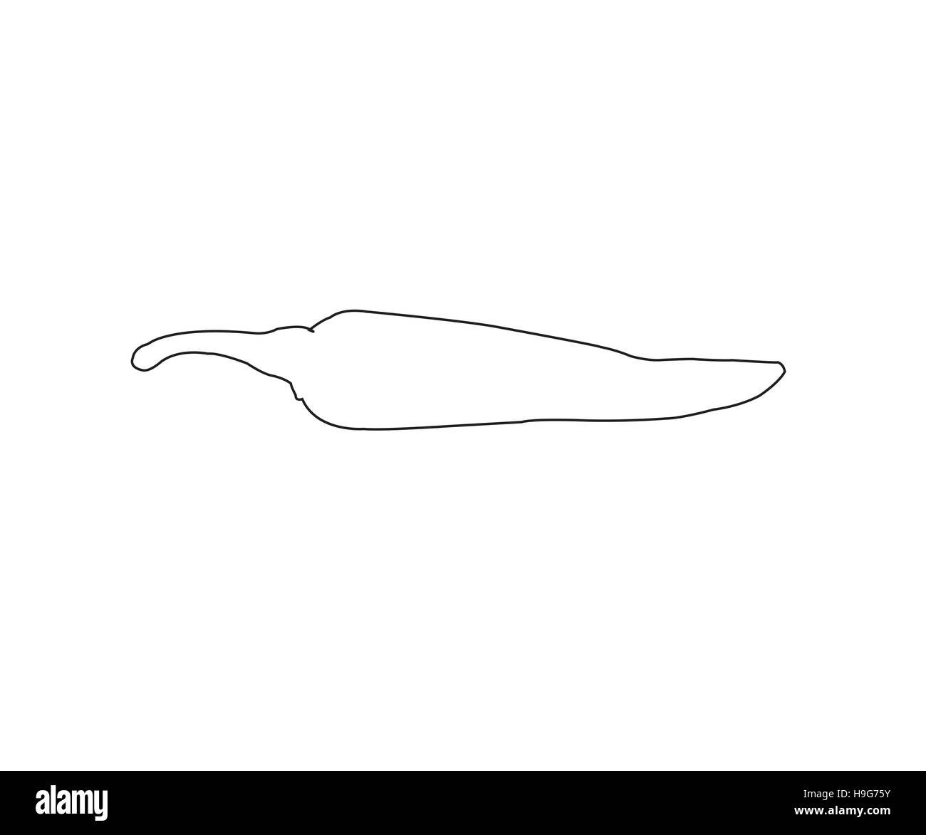 Chili plant drawing hi-res stock photography and images - Alamy