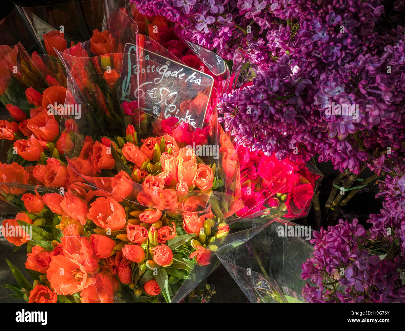 Street flower shop in Paris, France Stock Photo - Alamy