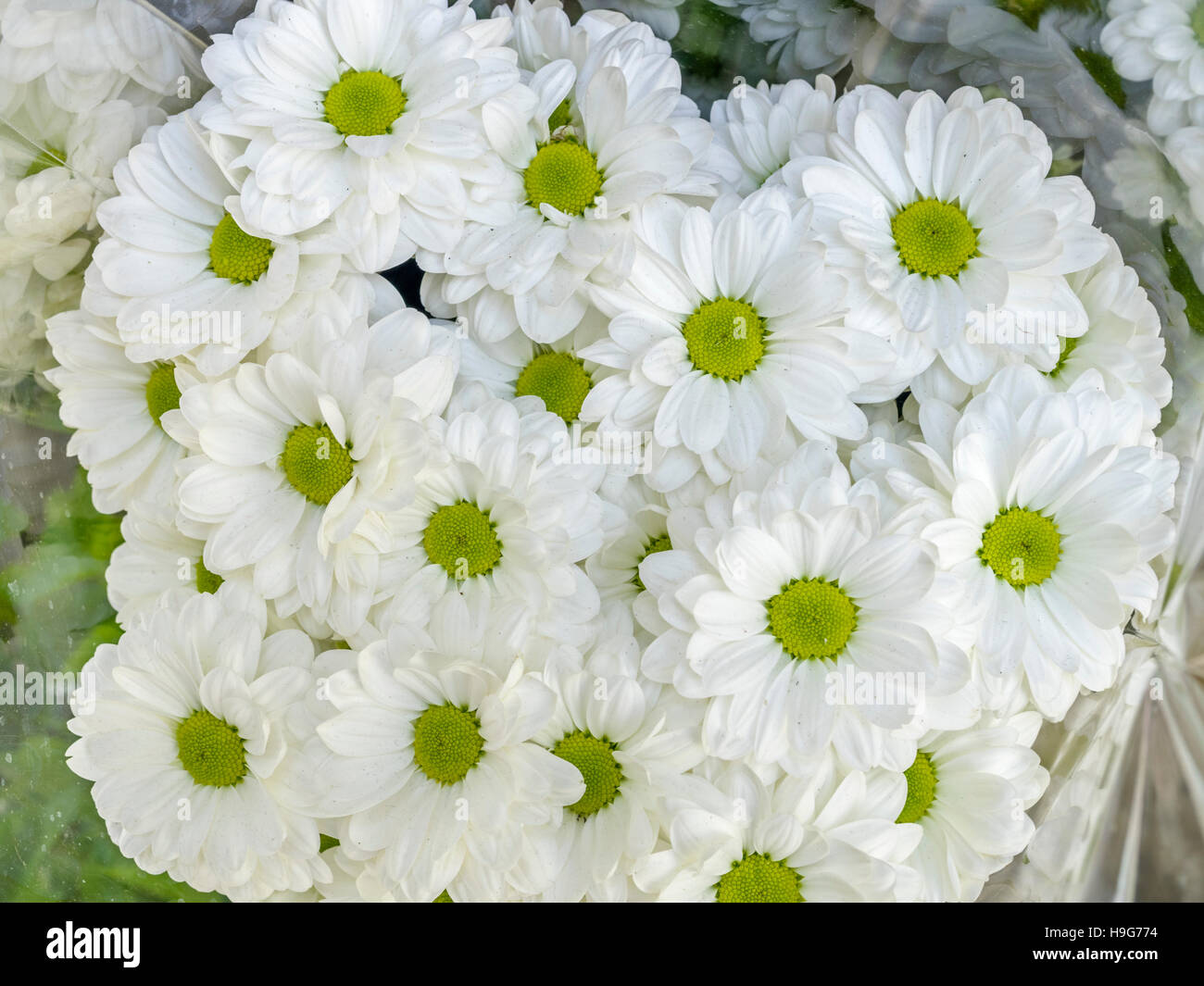 Street flower shop in Paris, France Stock Photo - Alamy