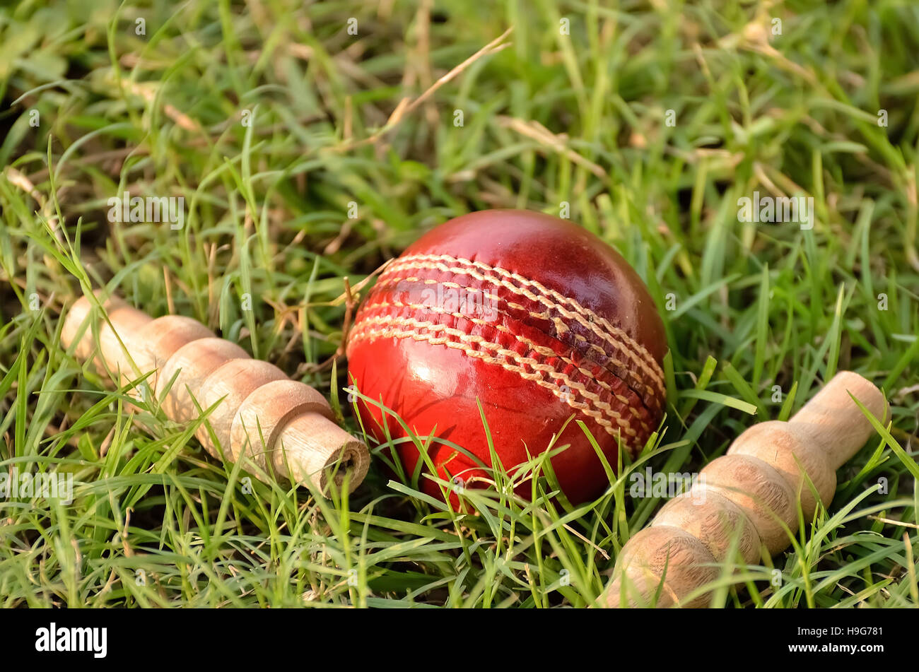 Red leather cricket ball and bails on grass Stock Photo - Alamy