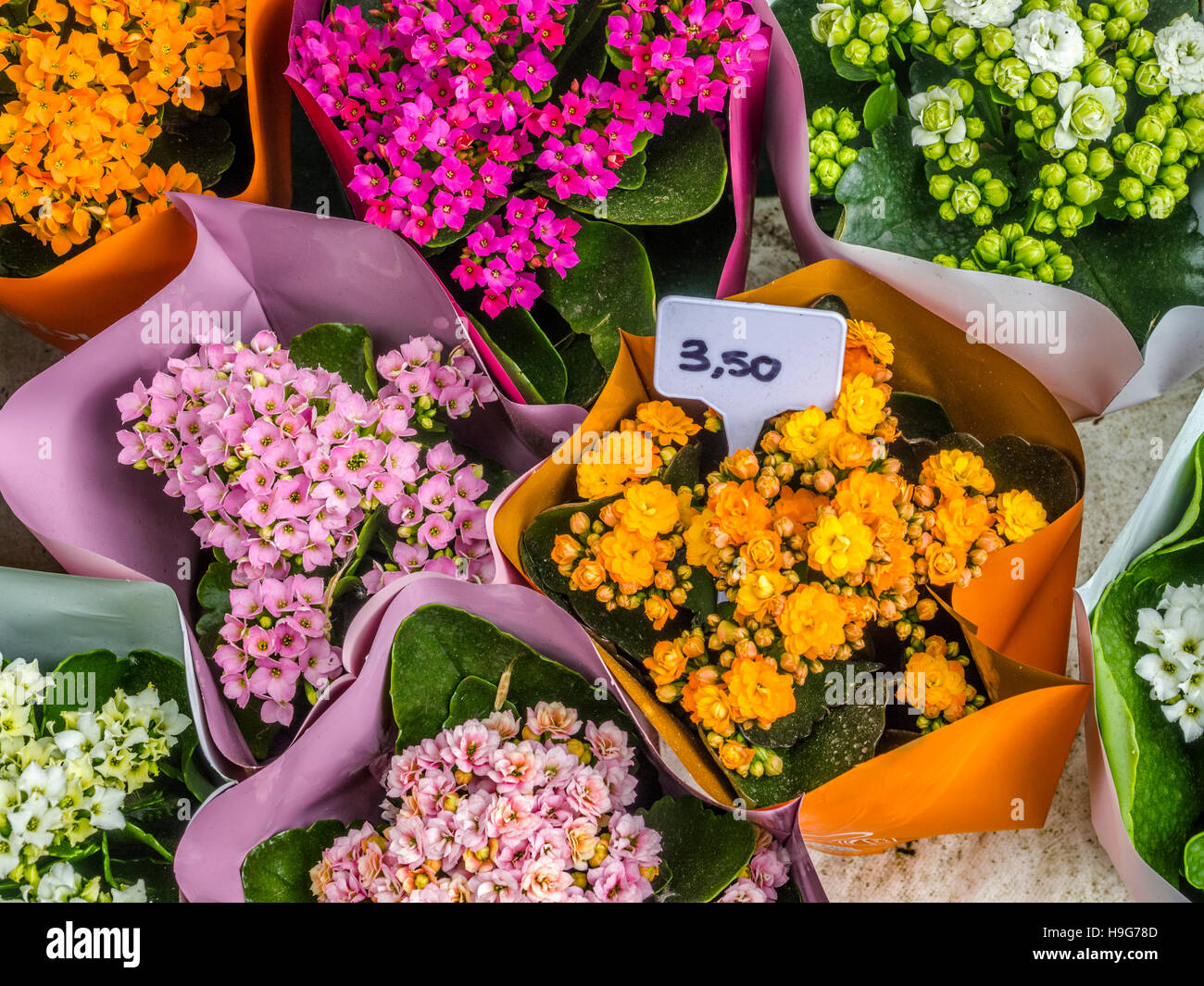 Street flower shop in Paris, France Stock Photo - Alamy