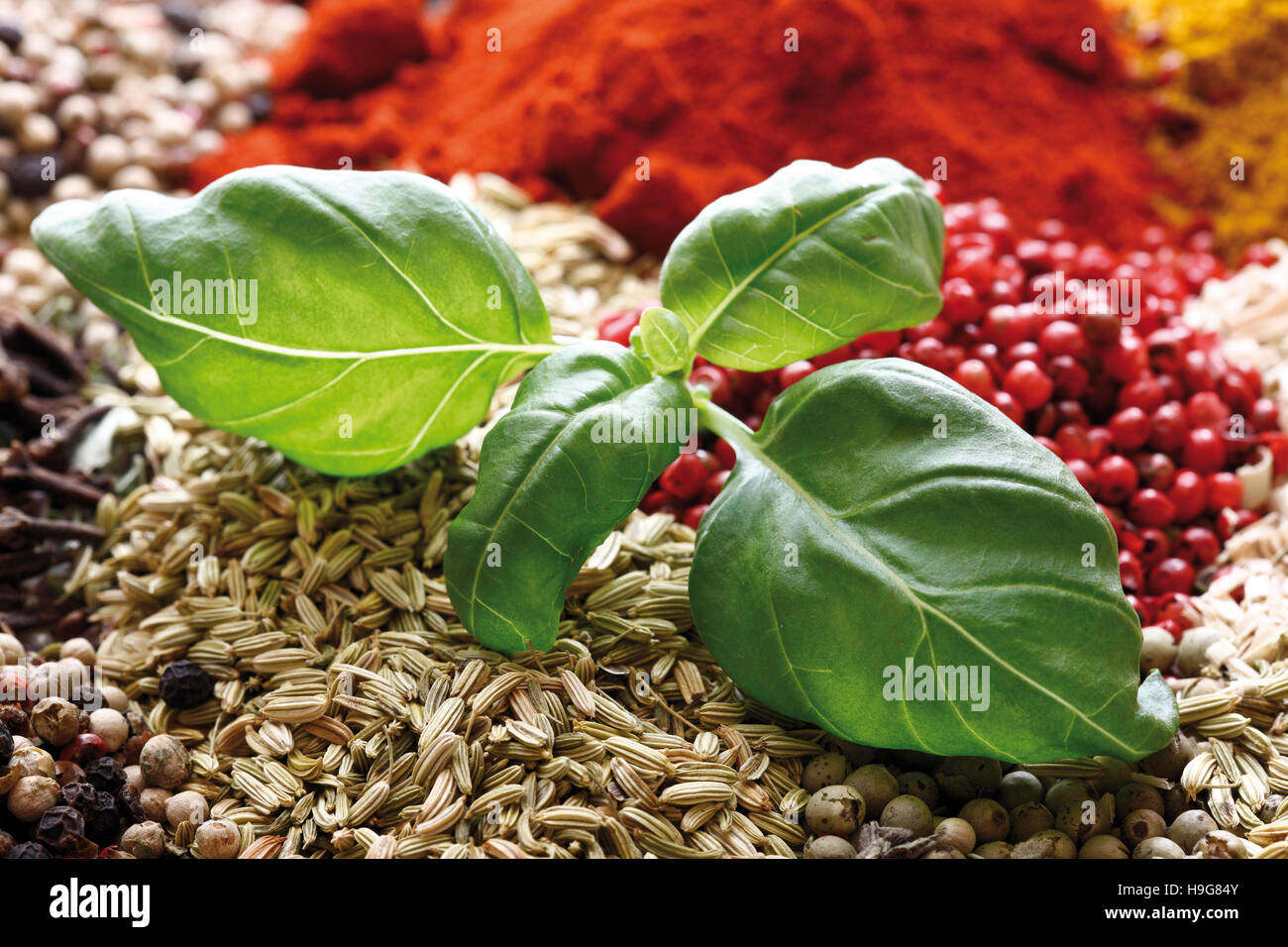 Rose pepper hi-res stock photography and images - Alamy
