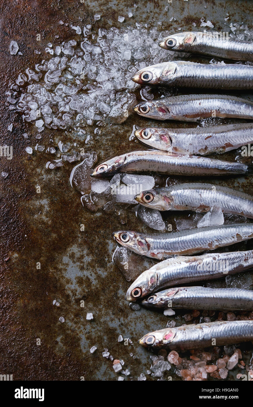 Raw fresh anchovies fishes Stock Photo - Alamy