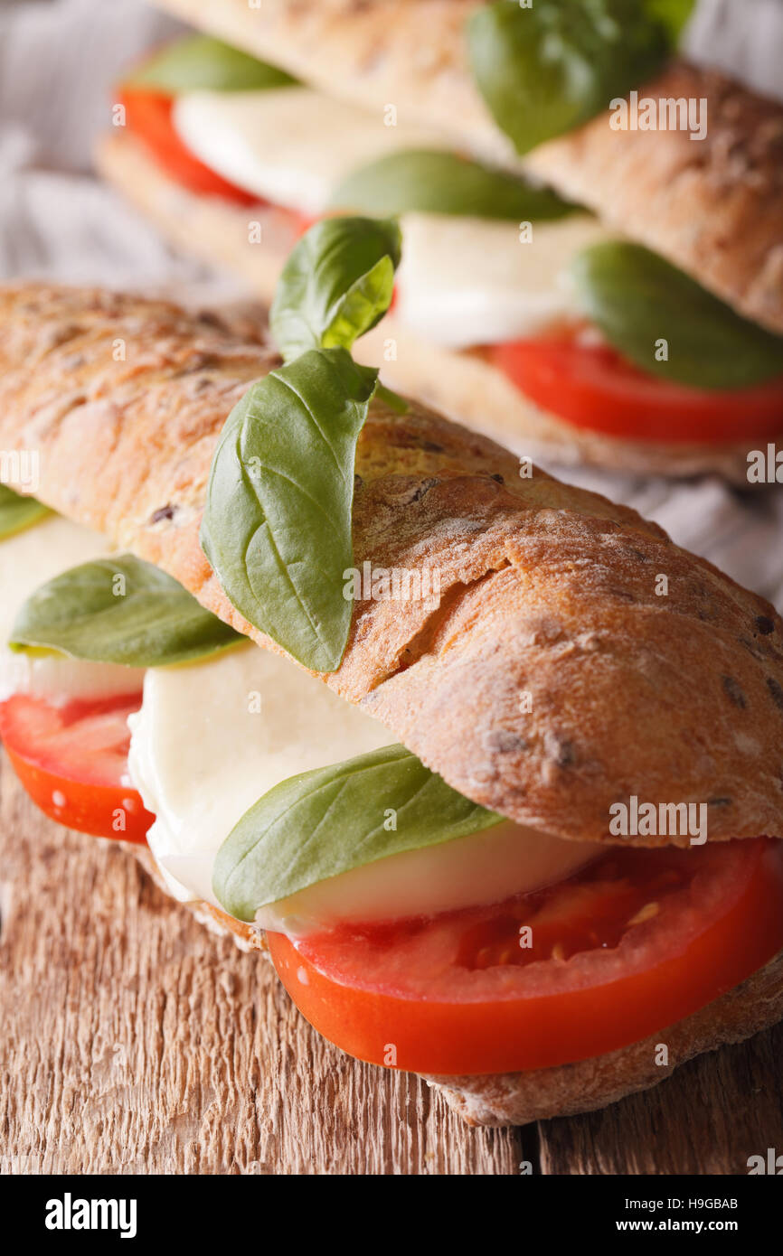 Italian caprese sandwich macro on the table. vertical, rustic style ...