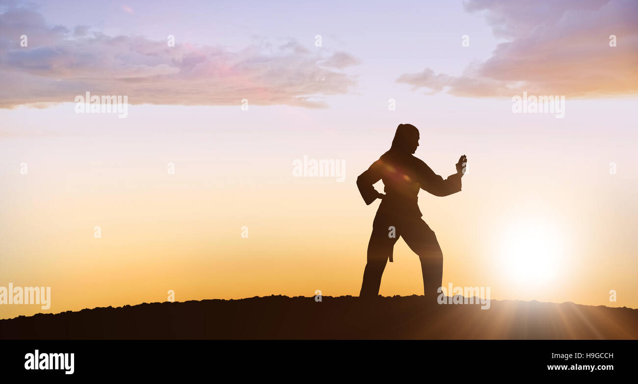 Composite image of female fighter performing karate stance Stock Photo ...