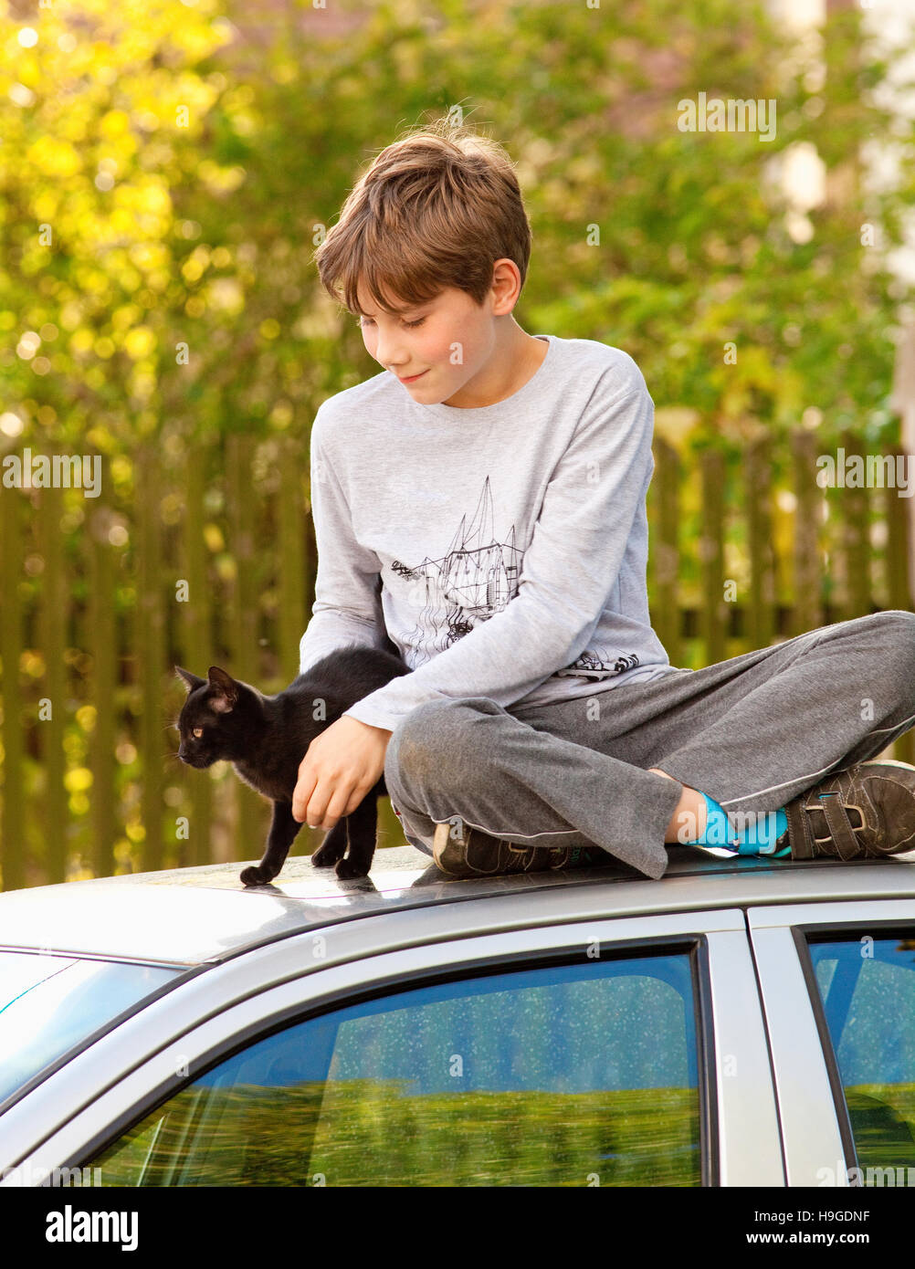 Child boy holding cat kitten hi-res stock photography and images - Alamy