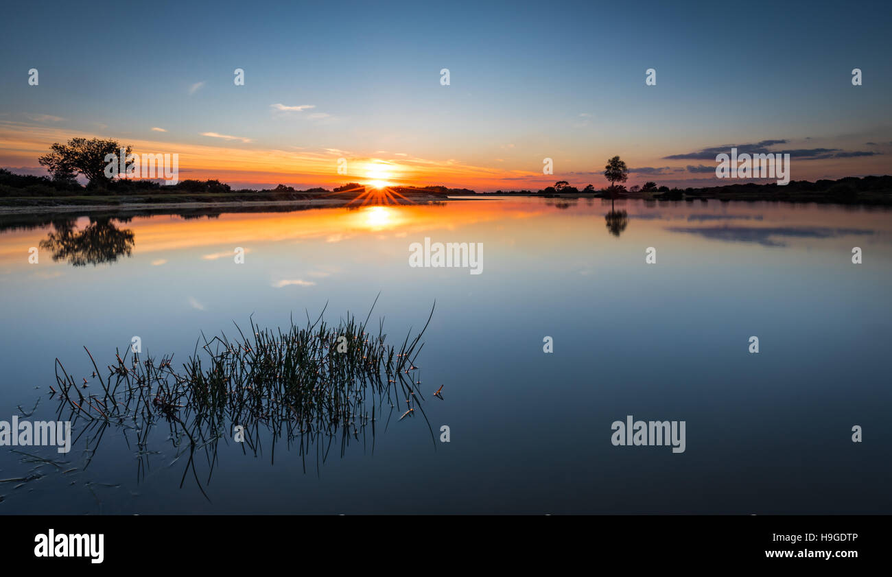 Sunset over fox hill pond in the New Forest Stock Photo - Alamy