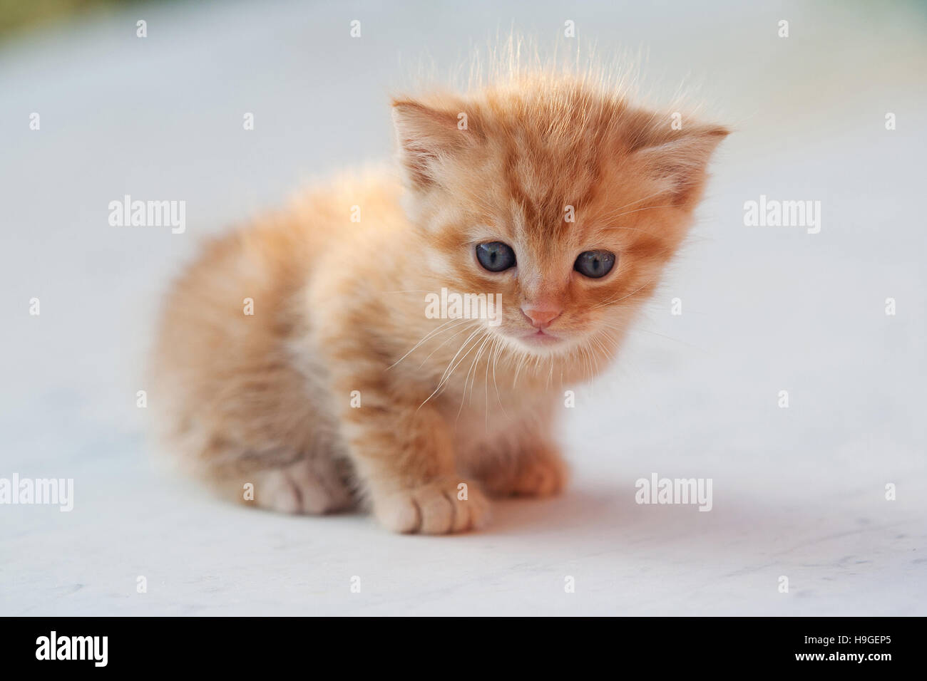 Little home in the field hi-res stock photography and images - Alamy