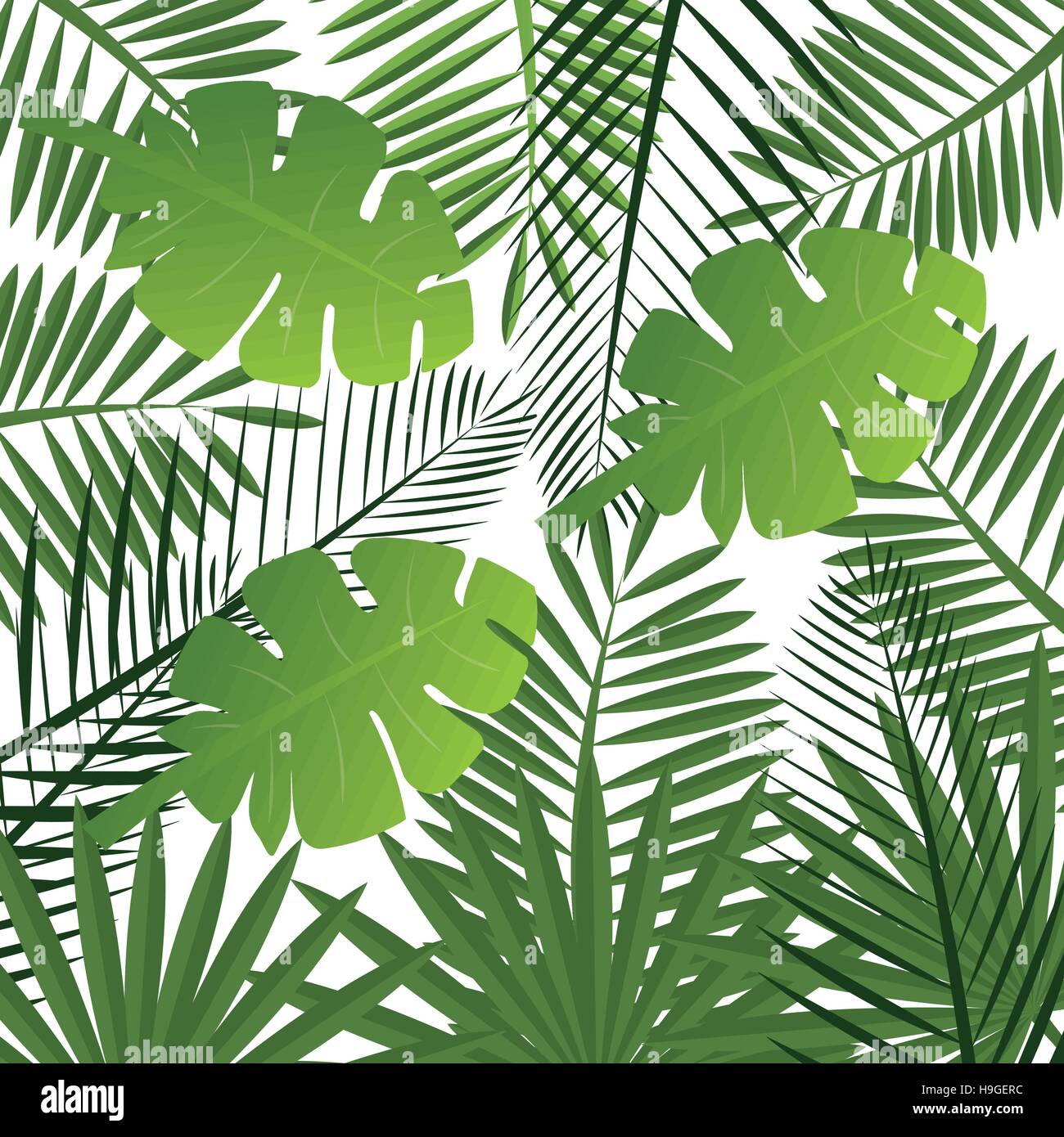 beautiful decoration floral background vector illustration design Stock ... beautiful decoration floral background vector illustration design Stock ...