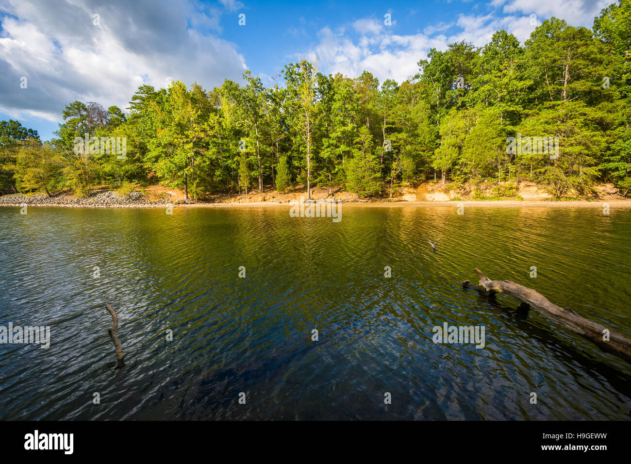 Lake Wylie, at McDowell Nature Preserve, in Charlotte, North Carolina ...