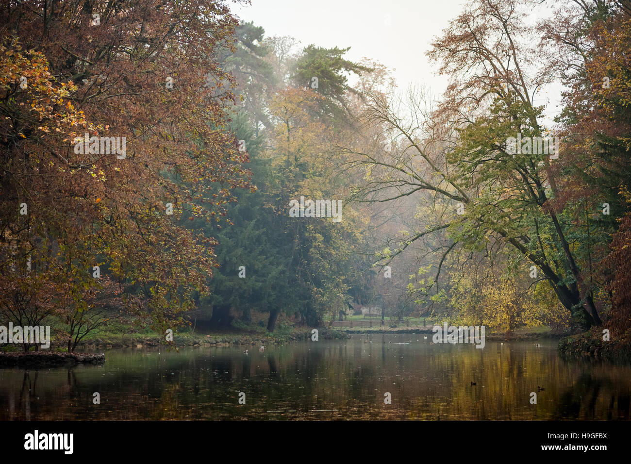 Pond reflecting fall colors hi-res stock photography and images - Alamy