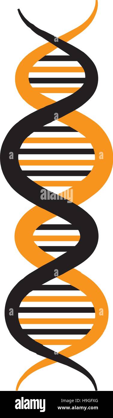 Molecular structure of DNA vector illustration design Stock Vector ...
