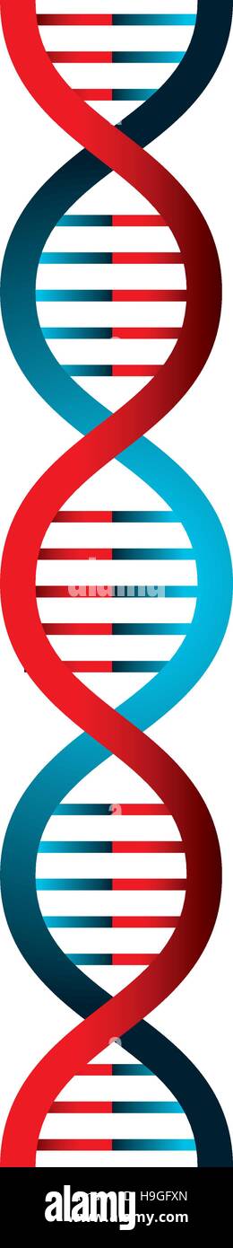 Molecular structure of DNA vector illustration design Stock Vector ...