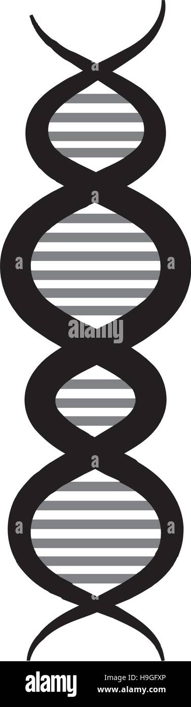 Molecular structure of DNA vector illustration design Stock Vector ...