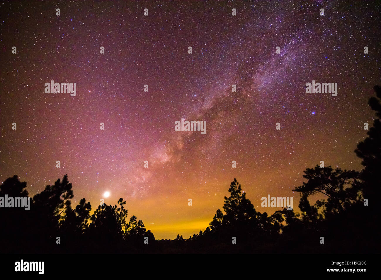 Milky Way and some trees Stock Photo - Alamy
