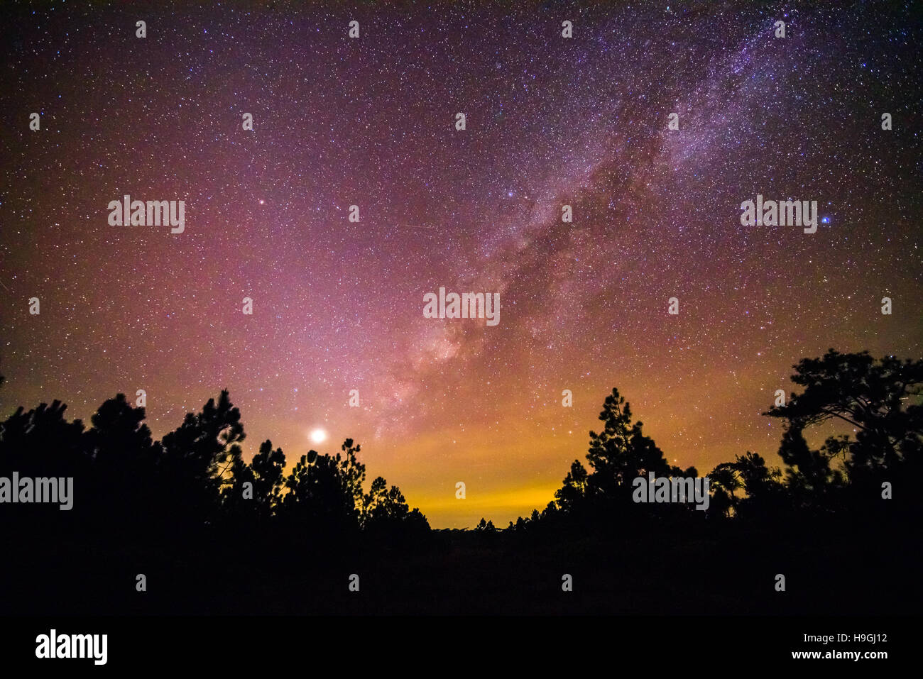 Milky Way and some trees Stock Photo - Alamy