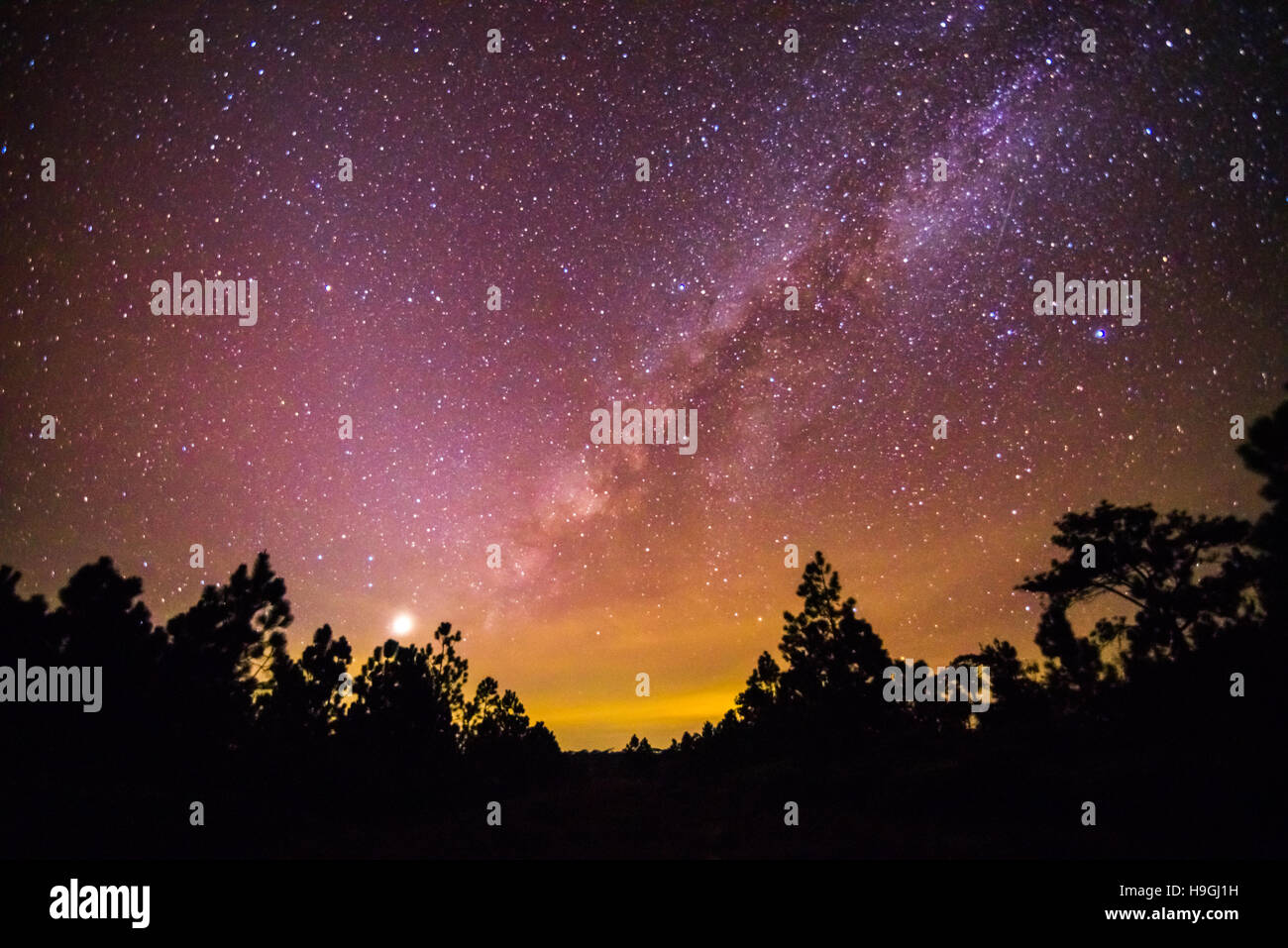 Milky Way and some trees Stock Photo - Alamy