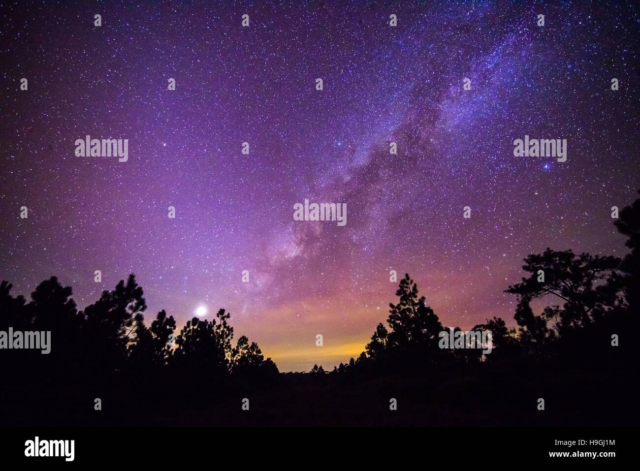Milky Way and some trees Stock Photo - Alamy