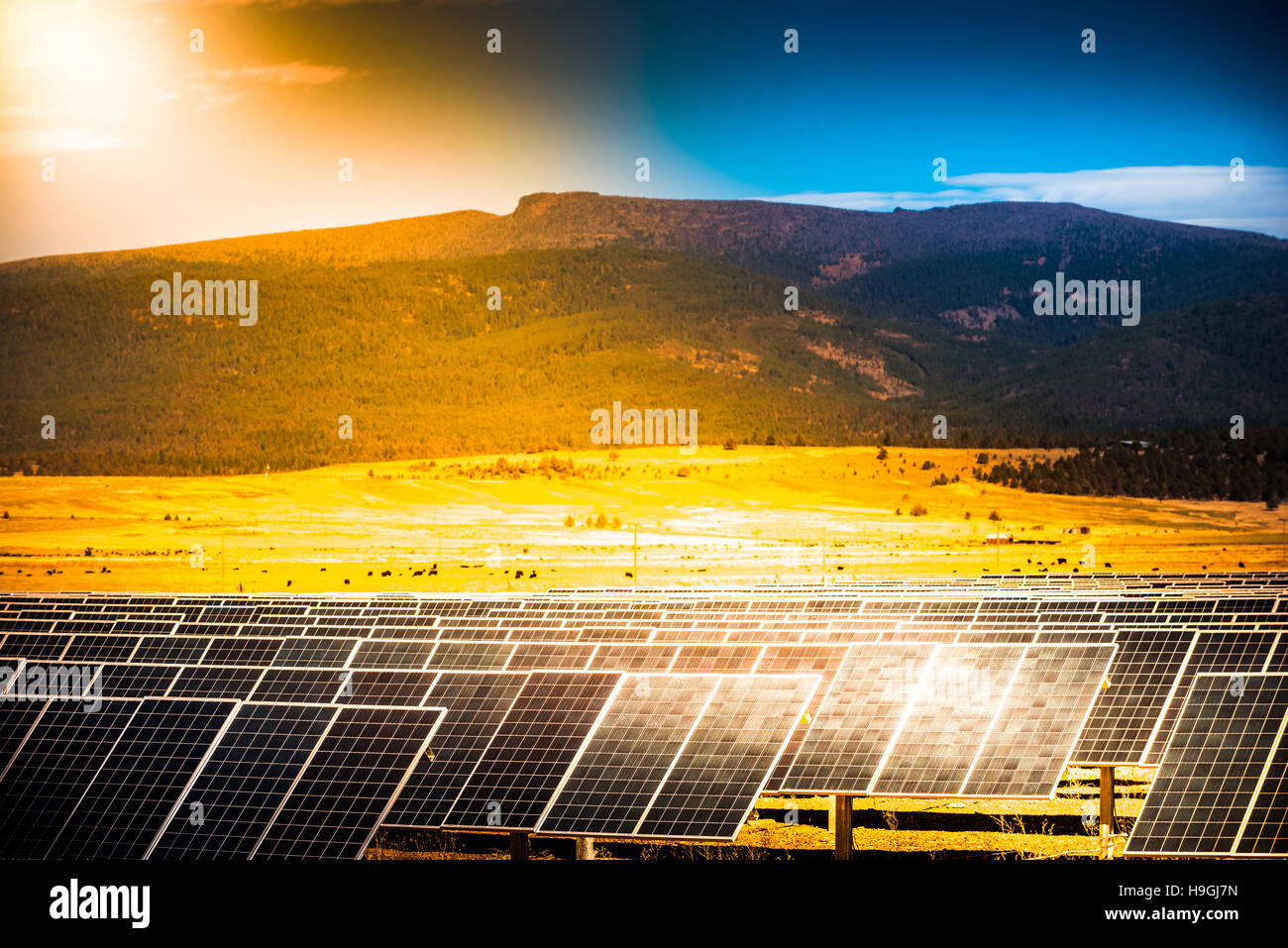 Solar Panels Sun hits photovoltaic surface Renewable Energy Stock Photo ...