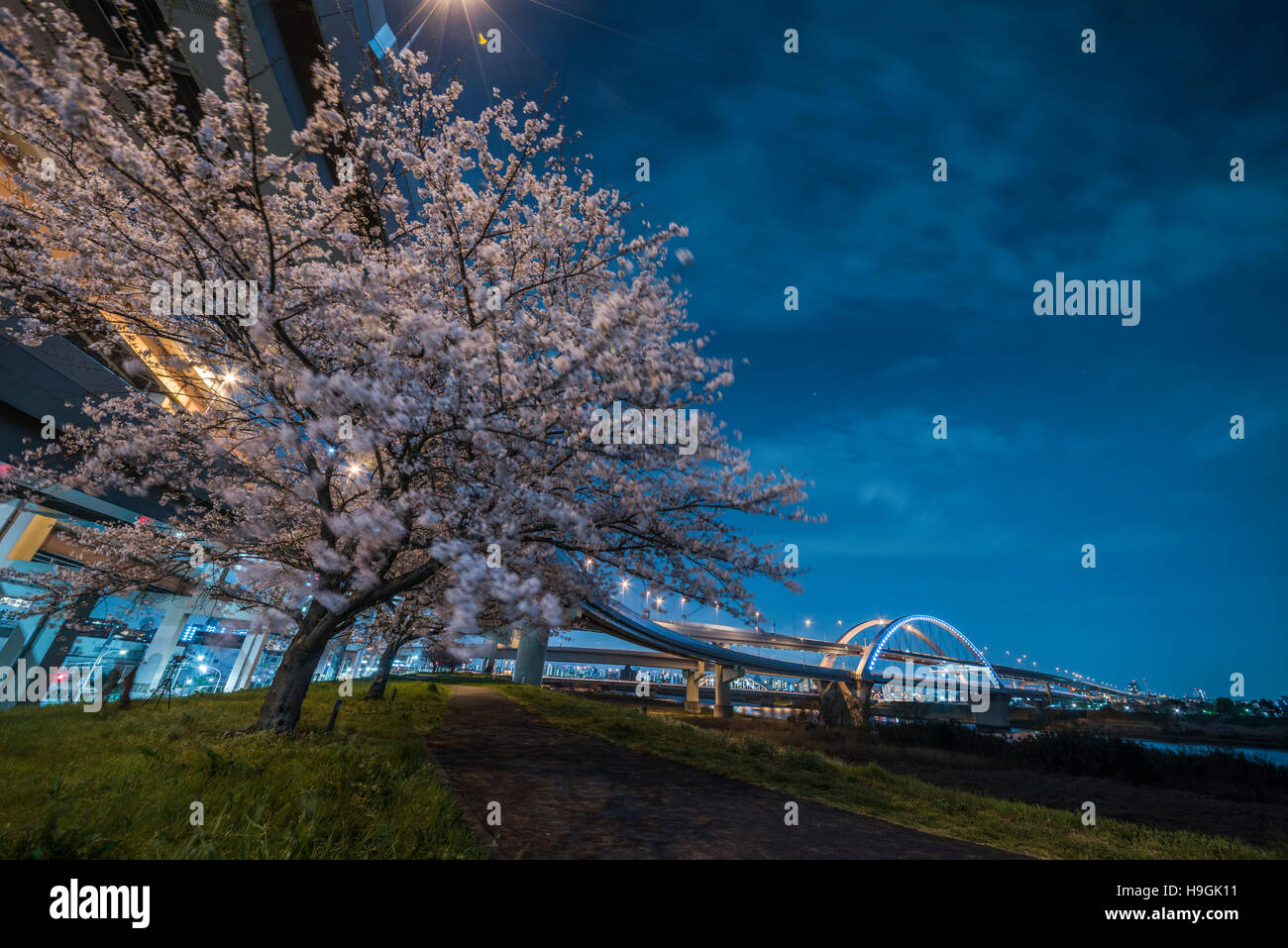 Goshikizakuraohashi bridge hi-res stock photography and images - Alamy