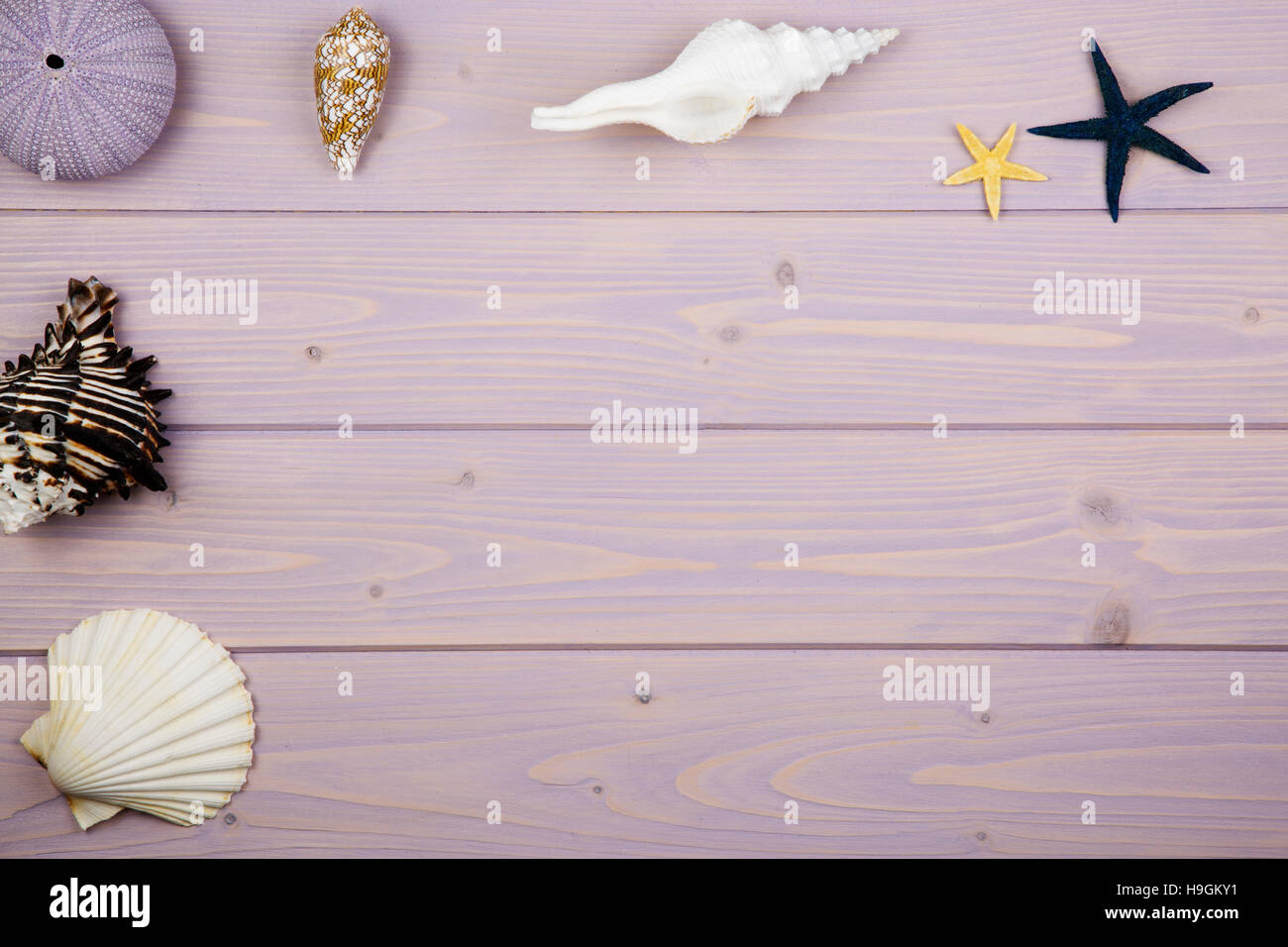 overhead of a collection of shells on wood top Stock Photo - Alamy